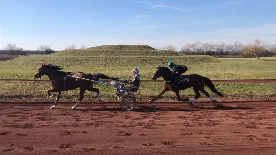 Stall News REBUS hat heute Samstag (20.2.2021) in Avenches mit ...